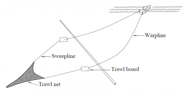 Dynamic simulations of trawl gear impact with SAGE Profile - SAGE Profile